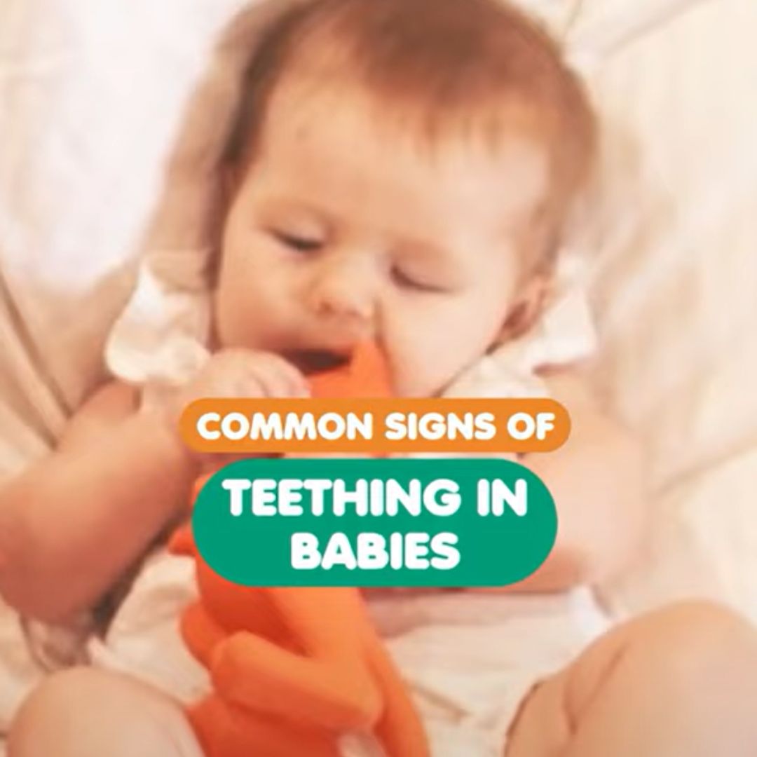 Common Signs of Teething in Babies – Mizzie The Kangaroo